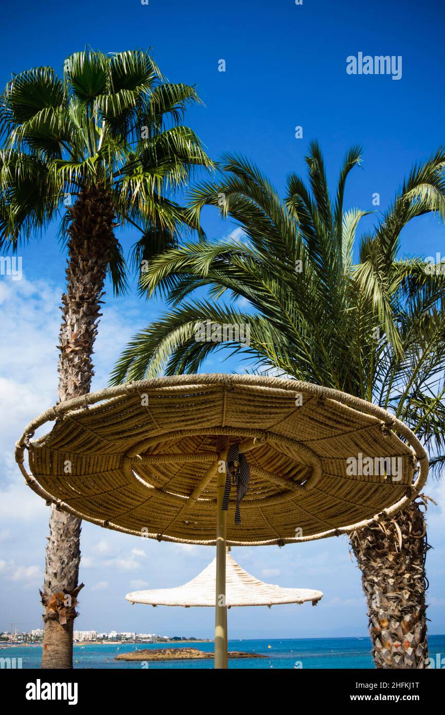 Nature resort palm trees hi-res stock photography and images - Alamy