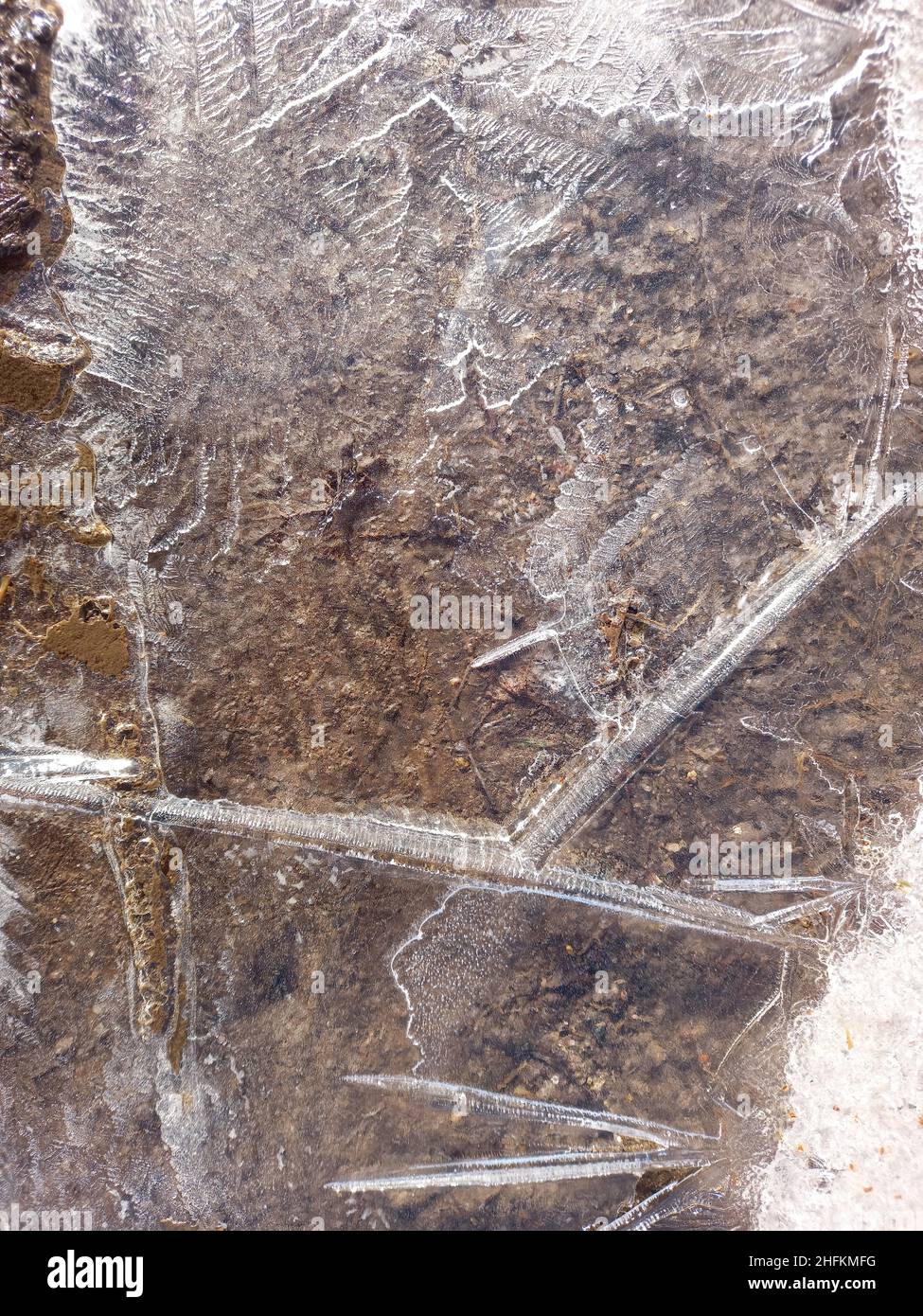 Thin, brittle ice early in the morning on a puddle. First frosts. High ...