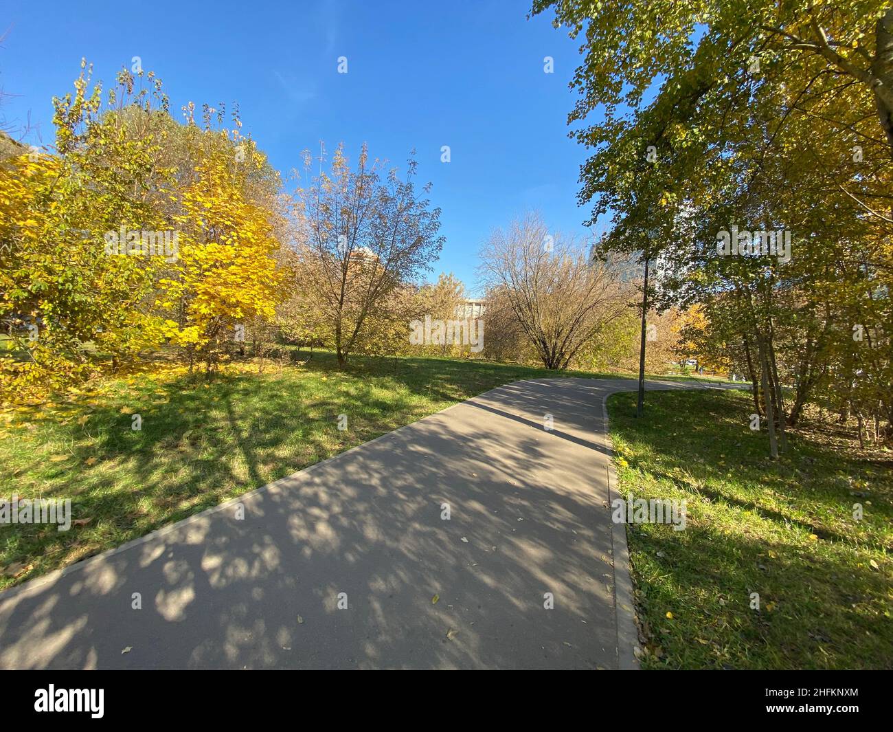 autumn in park at dry sunny fall day Stock Photo - Alamy