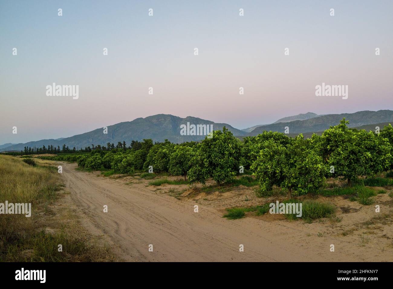 Citrusdal hi-res stock photography and images - Alamy