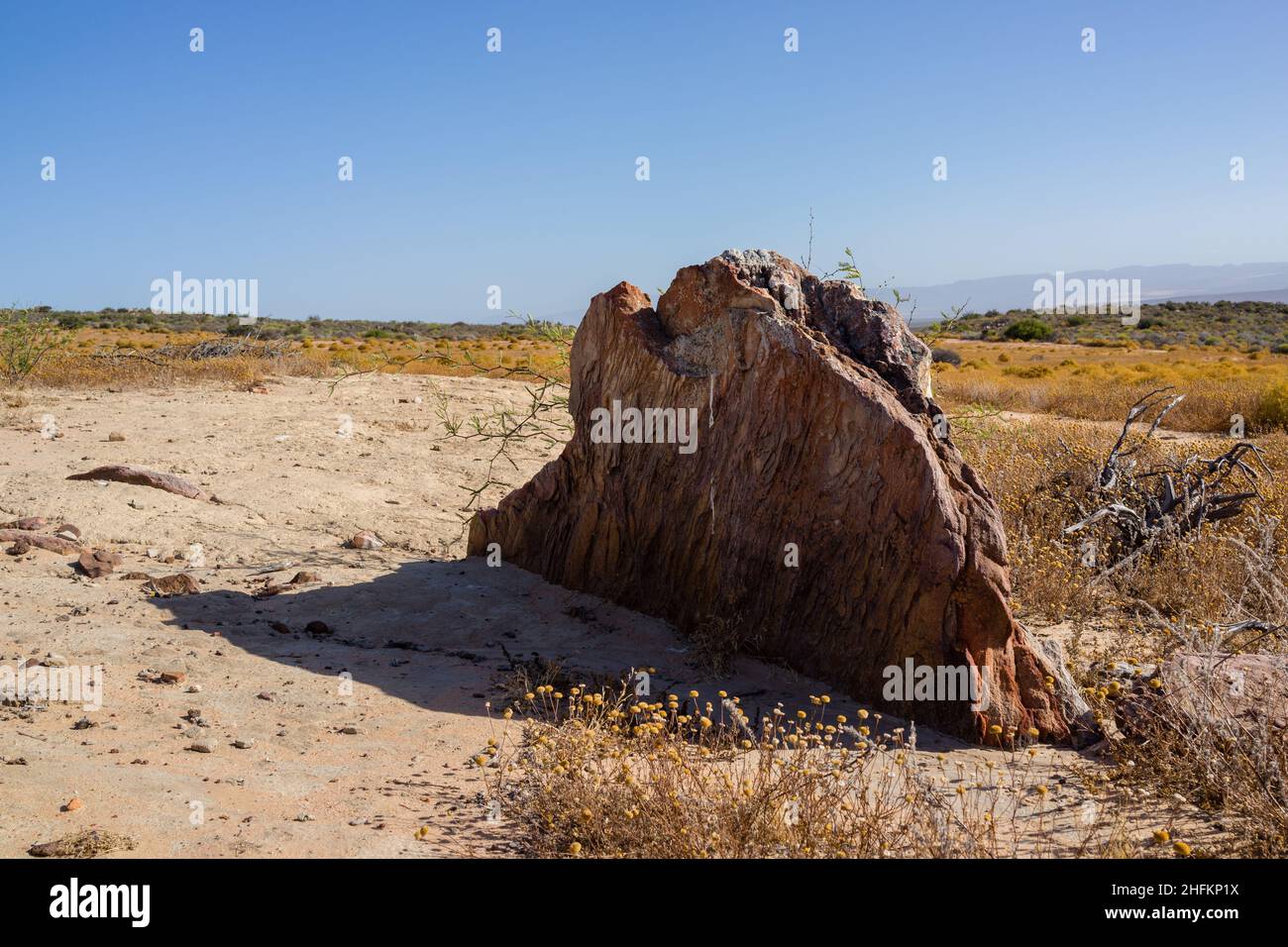 flat upright rock in the sand Stock Photo - Alamy
