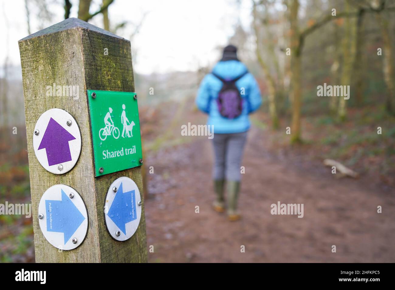 Shared trail sign on a post on a woodland trail with a walker Stock ...