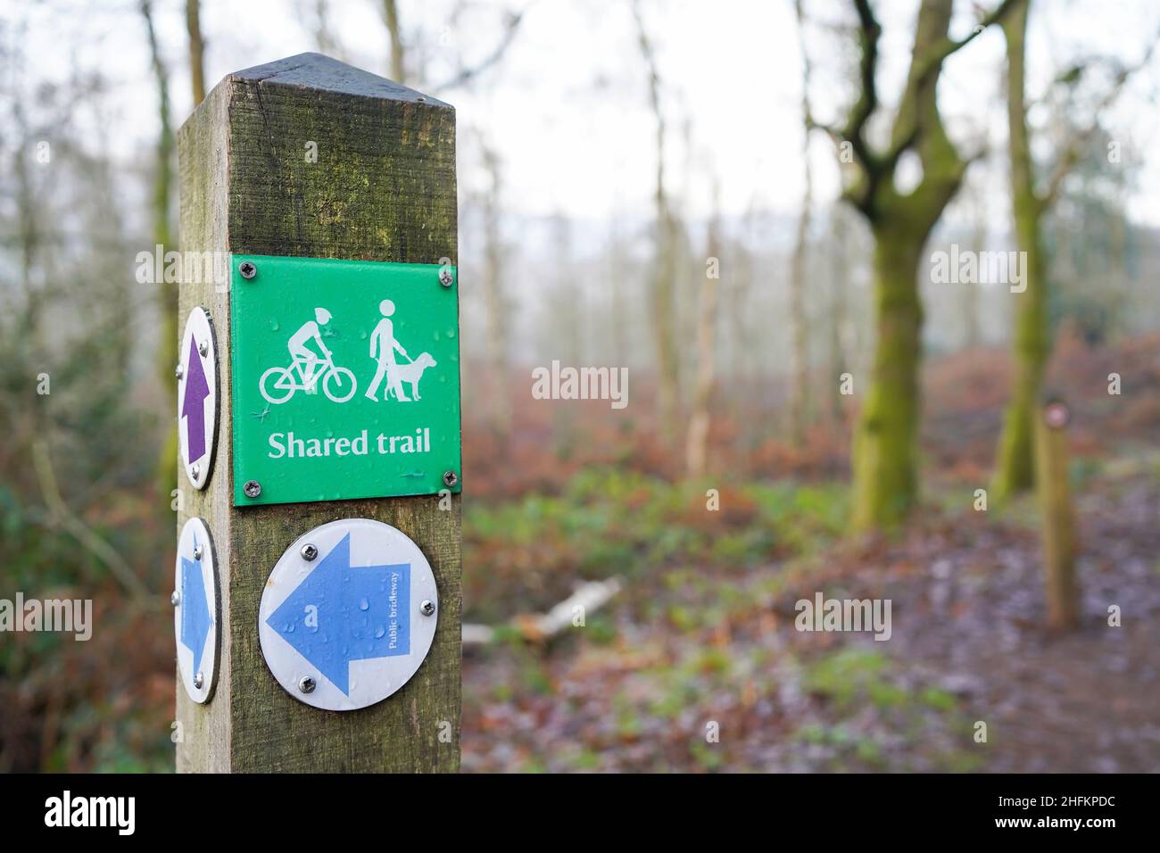 Shared trail sign on a post in a woodland Stock Photo - Alamy