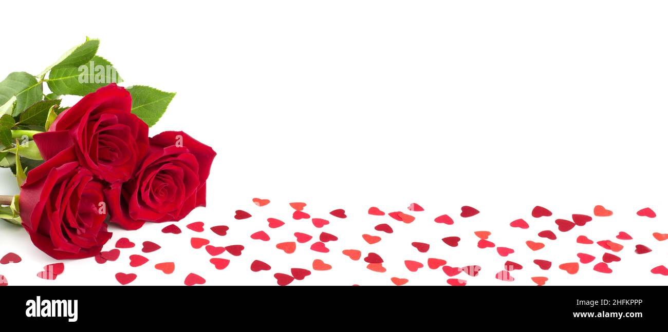 Three red roses and many small paper hearts isolated on white ...