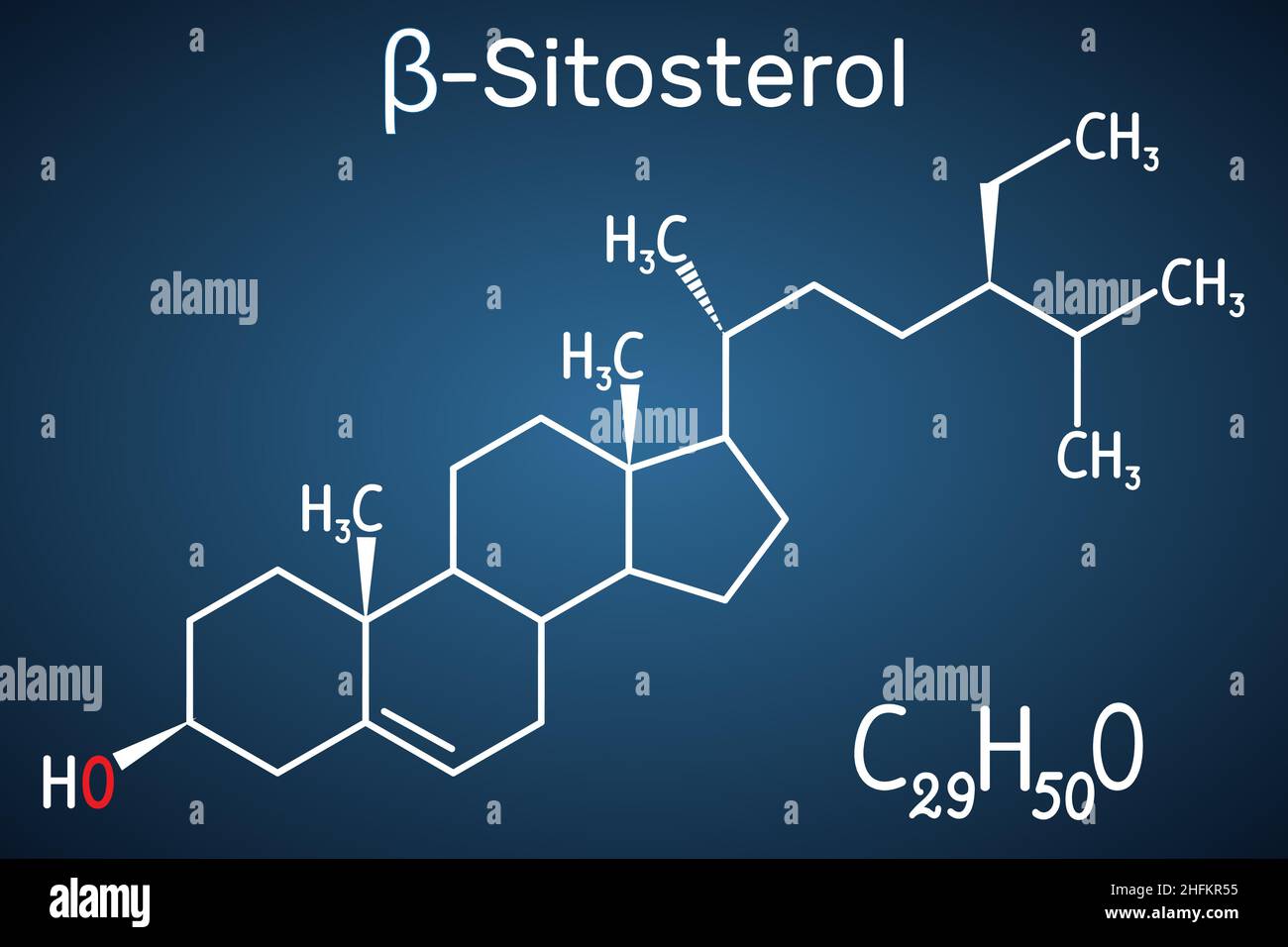 Serenoa repens Stock Vector Images - Alamy