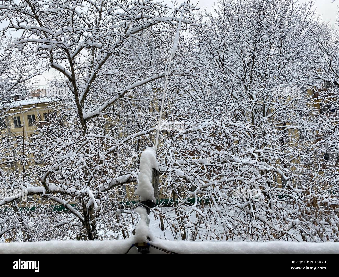 winter in city yard at cloudy day after snowfall Stock Photo - Alamy