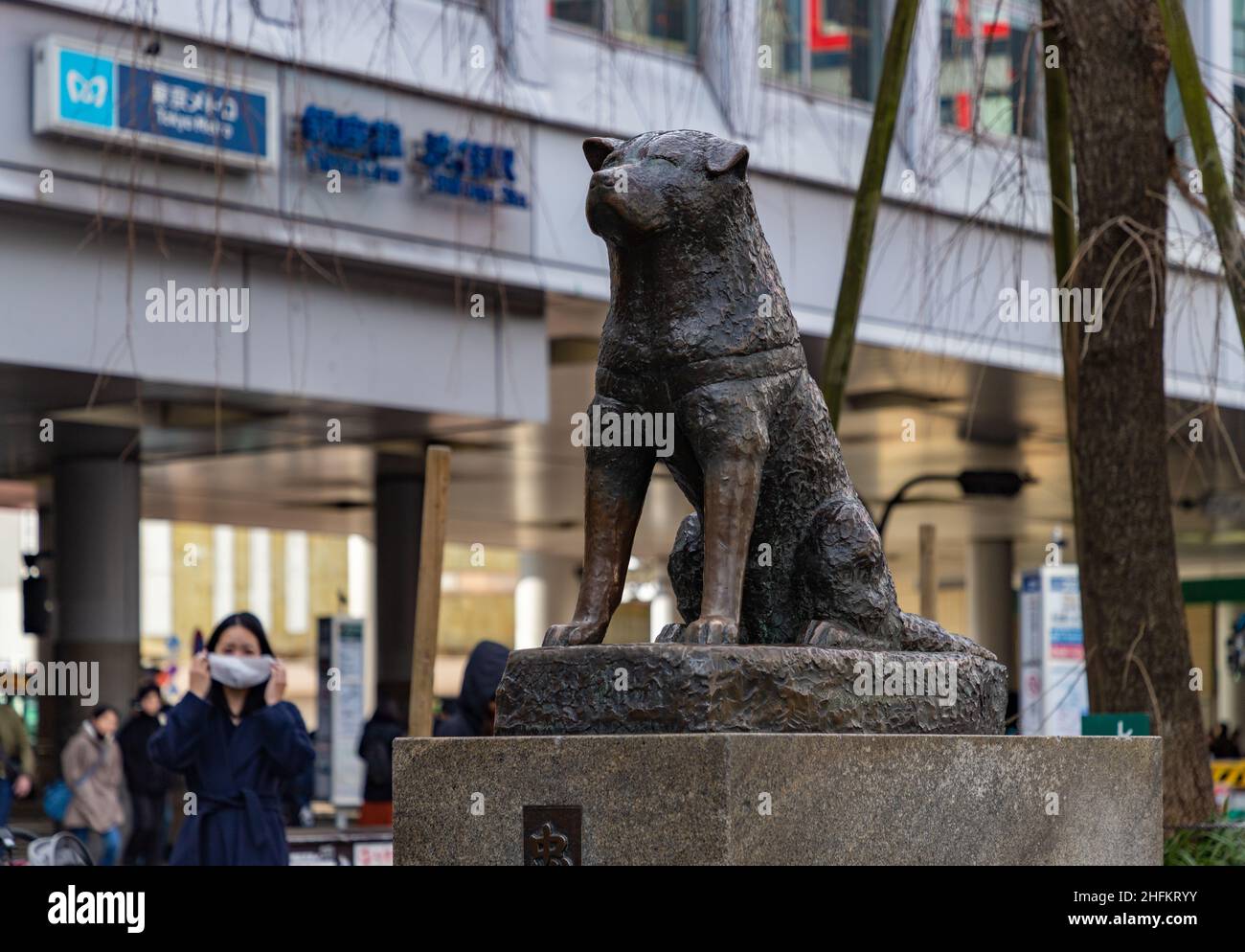 A picture of the Hachiko Memorial Statue, in Shibuya (Tokyo Stock Photo ...