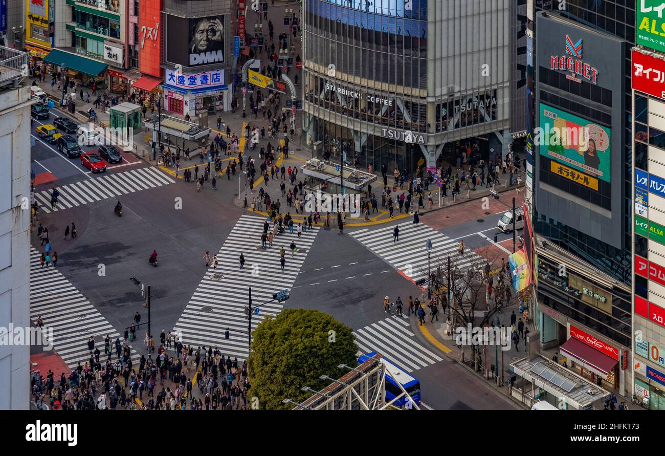 A picture of the Shibuya Crossing, as seen from above, in Tokyo Stock Photo - Alamy
