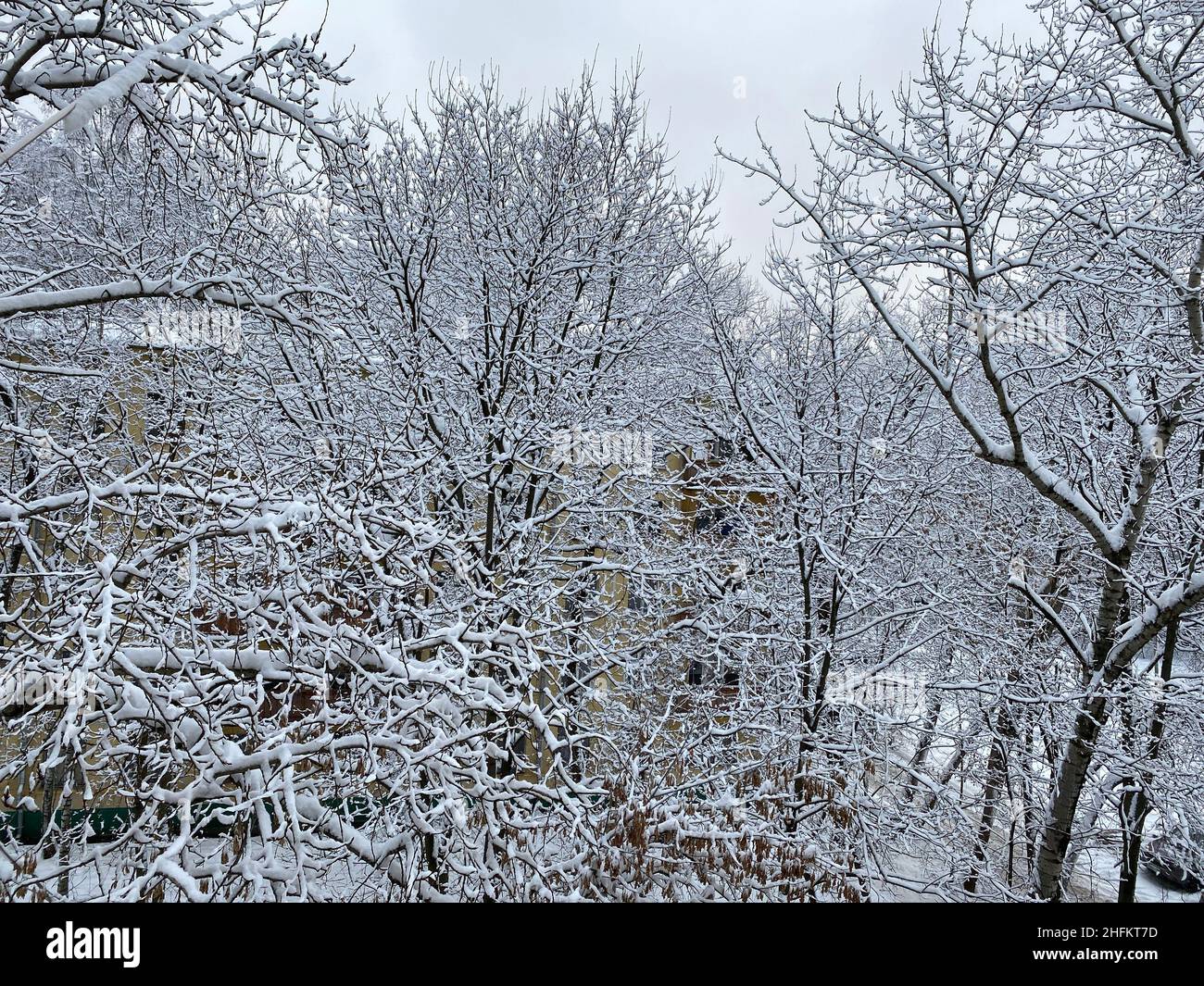 winter in city yard at cloudy day after snowfall Stock Photo - Alamy