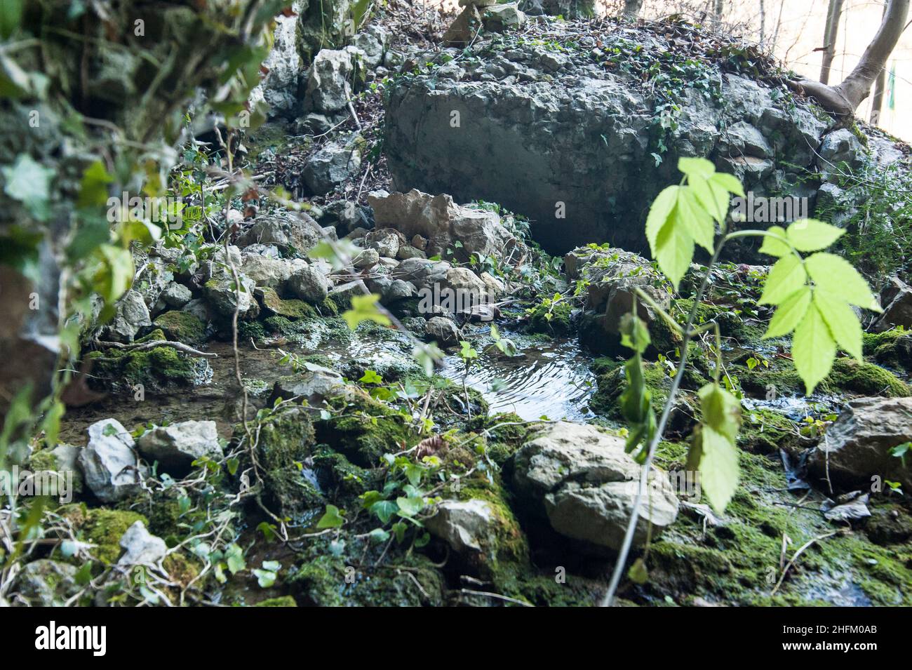 Water and rocks in the wild nature Stock Photo - Alamy