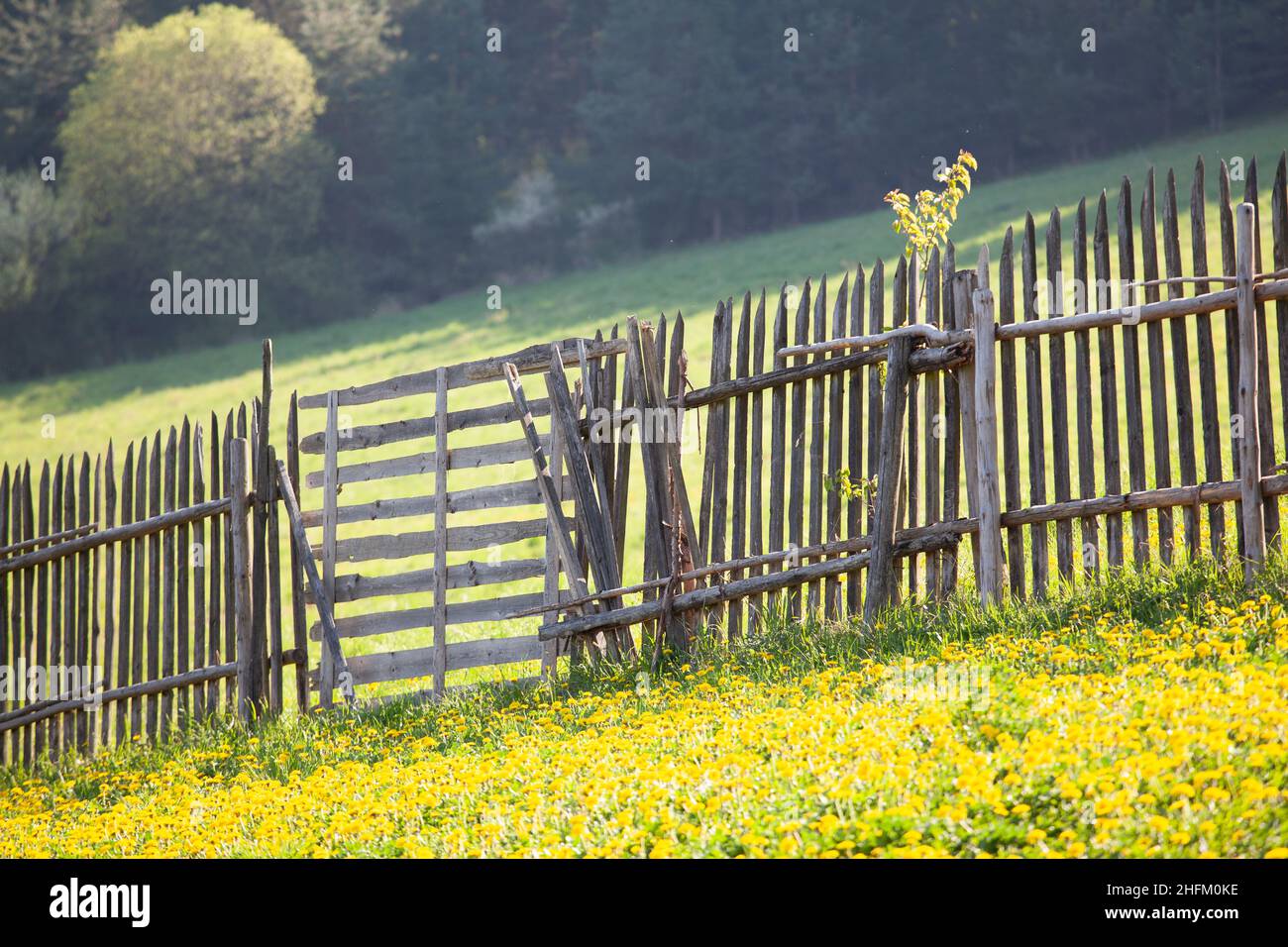 Slovak native art hi-res stock photography and images - Alamy