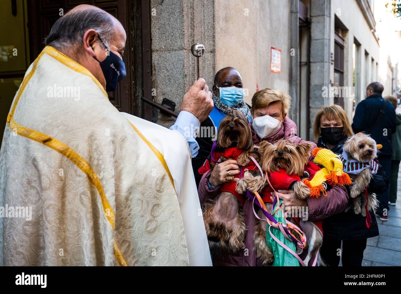 Blessing animals pets church hi-res stock photography and images - Alamy