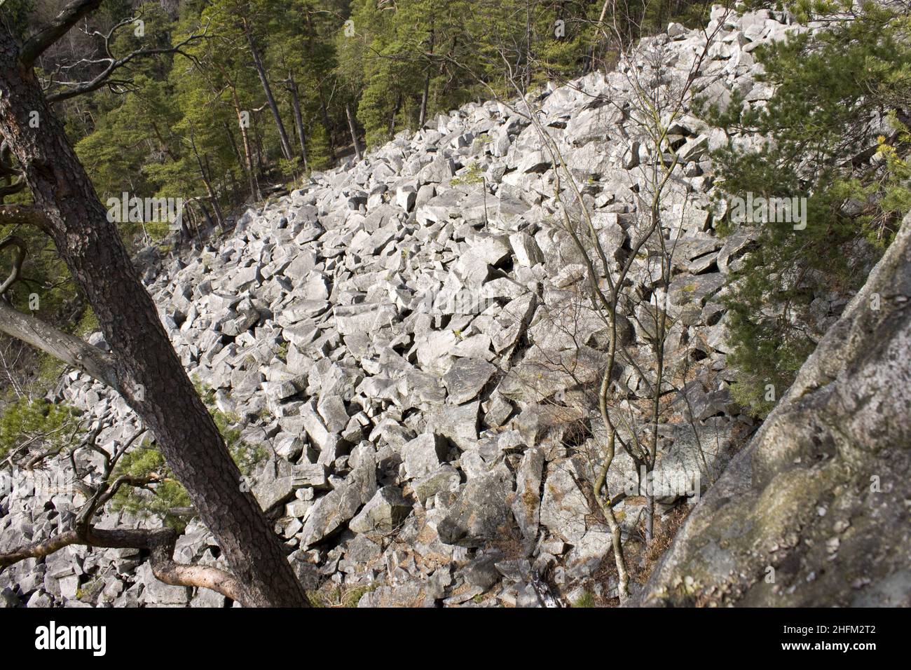 The big boulder or block field full of stones and rocks in Czech ...
