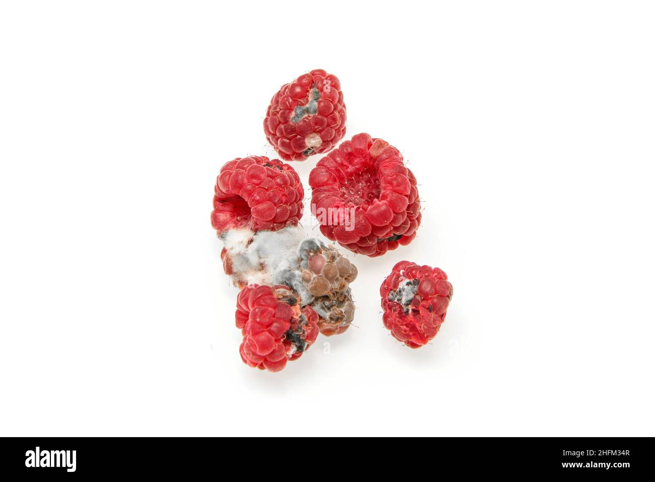 Several mouldy raspberries. Rotten and uneatable. Isolated on white ...