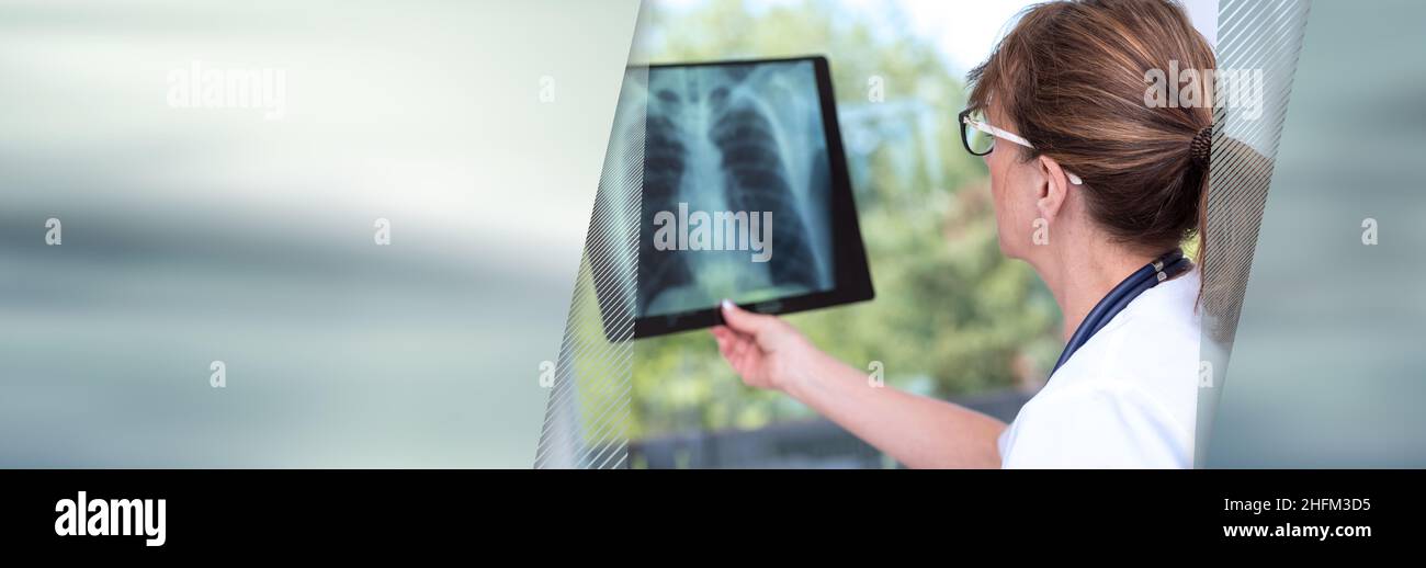 Female doctor examining x-ray report in medical office. panoramic ...