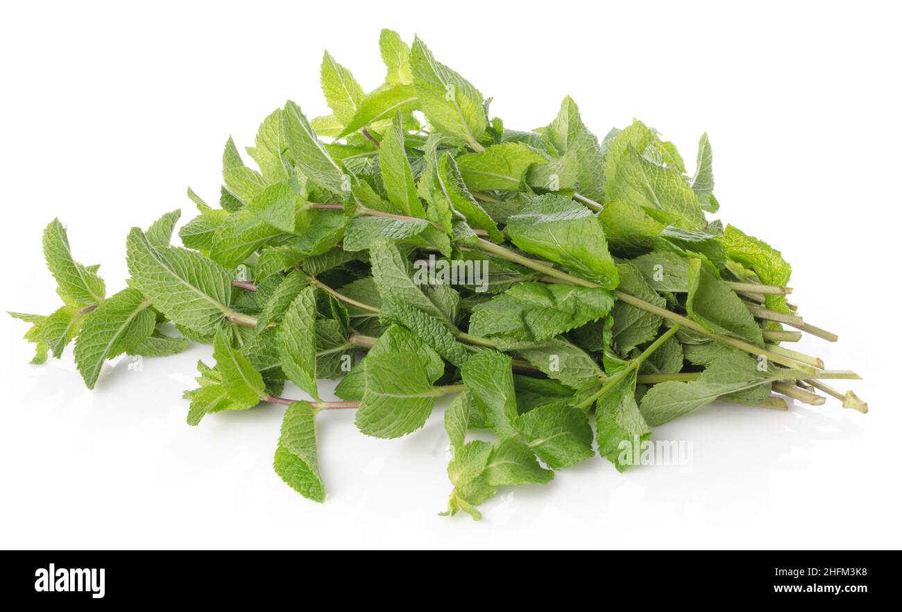 Fresh mint, isolated on white Stock Photo - Alamy