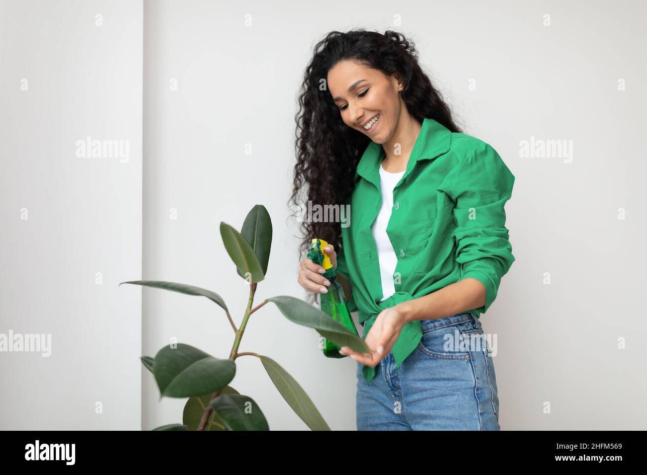 Happy Woman Cleaning Plant Leaves Using Spray Bottle At Home Stock ...