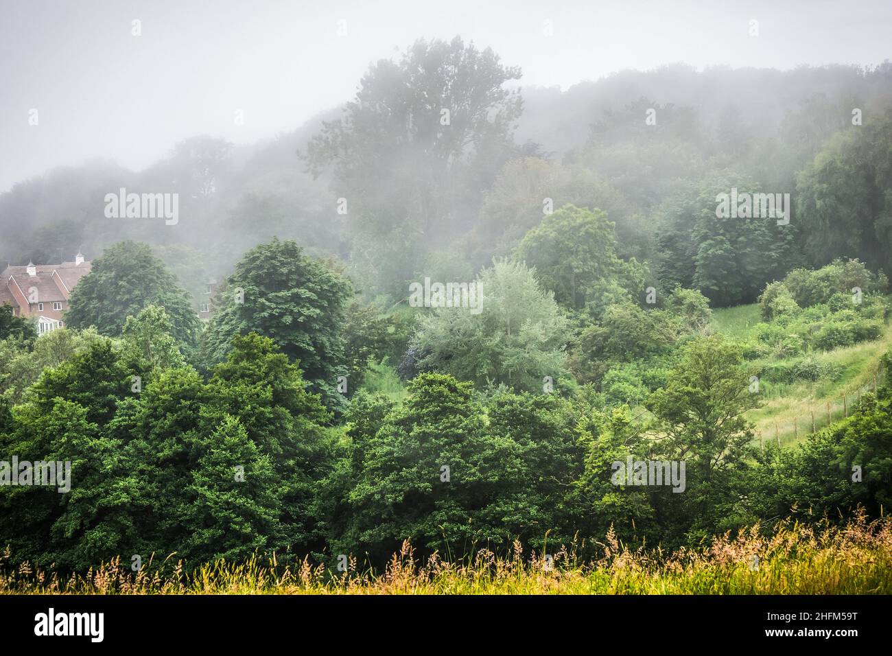 Diffuse vibrant hi-res stock photography and images - Alamy