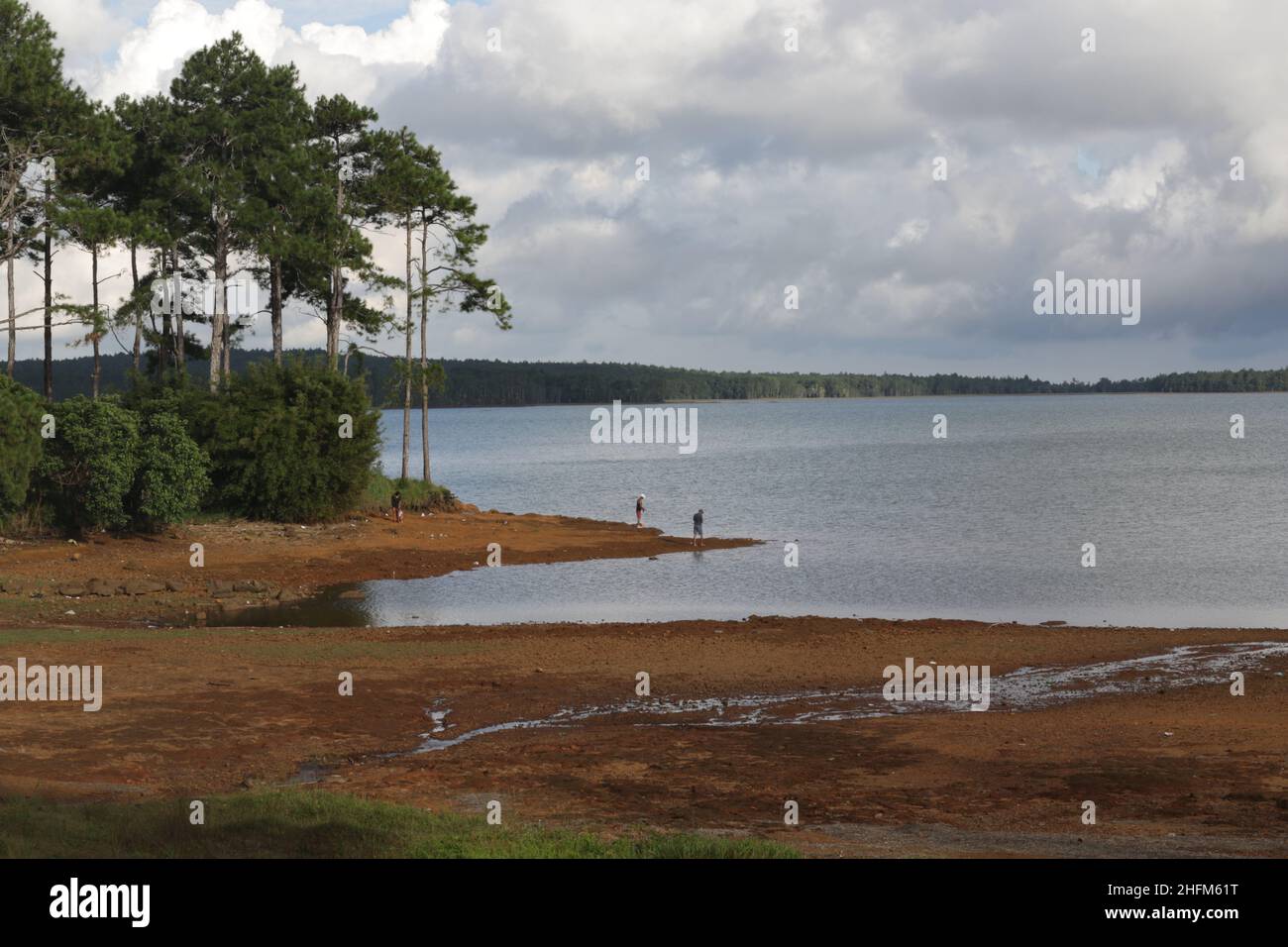 Mare aux Vacoas is the largest reservoir in Mauritius. It is located in ...