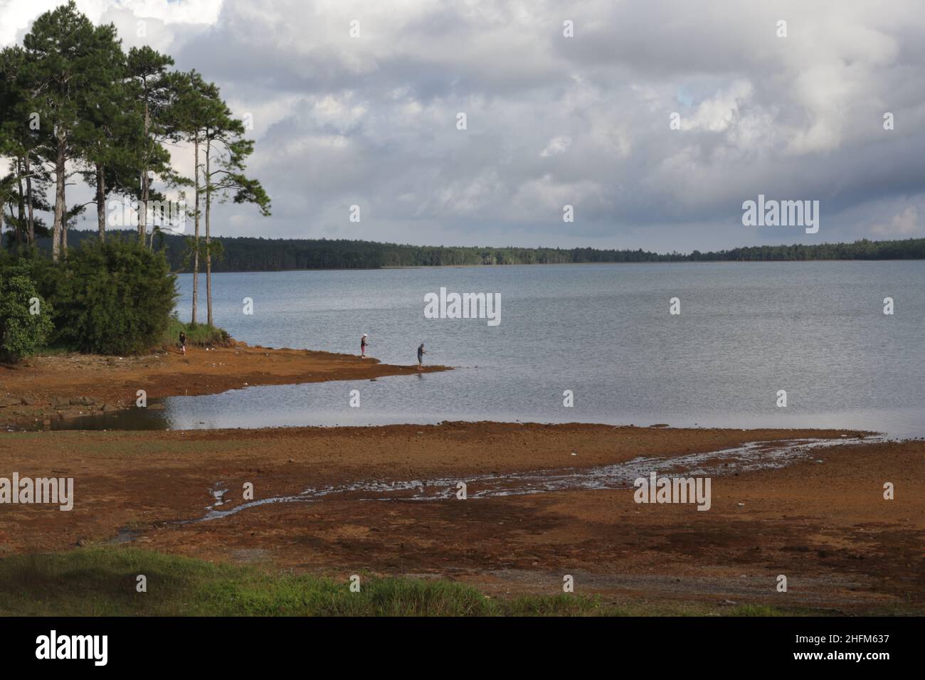 Mare aux Vacoas is the largest reservoir in Mauritius. It is located in ...