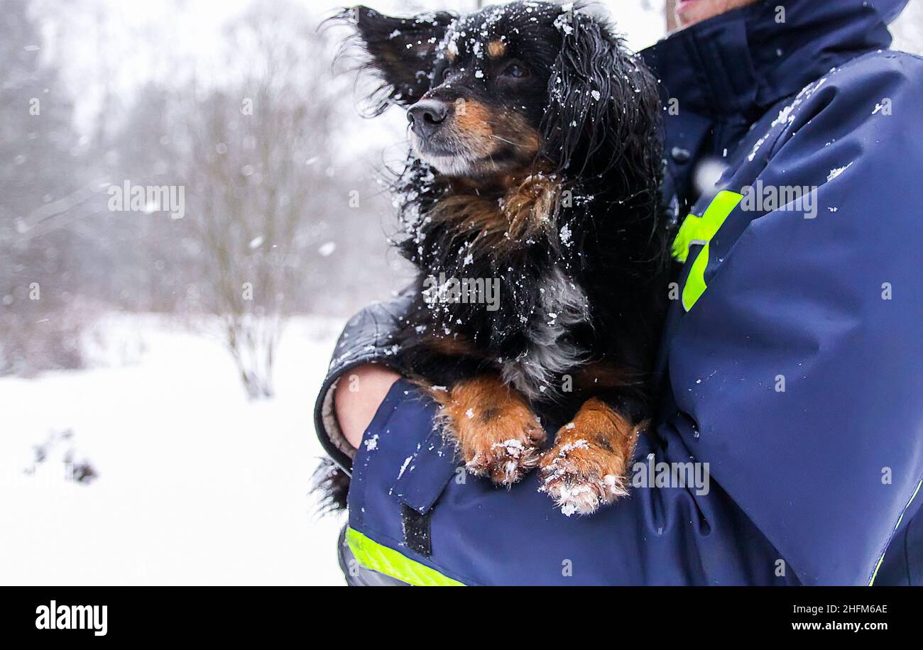 Scared person with animal hi-res stock photography and images - Alamy