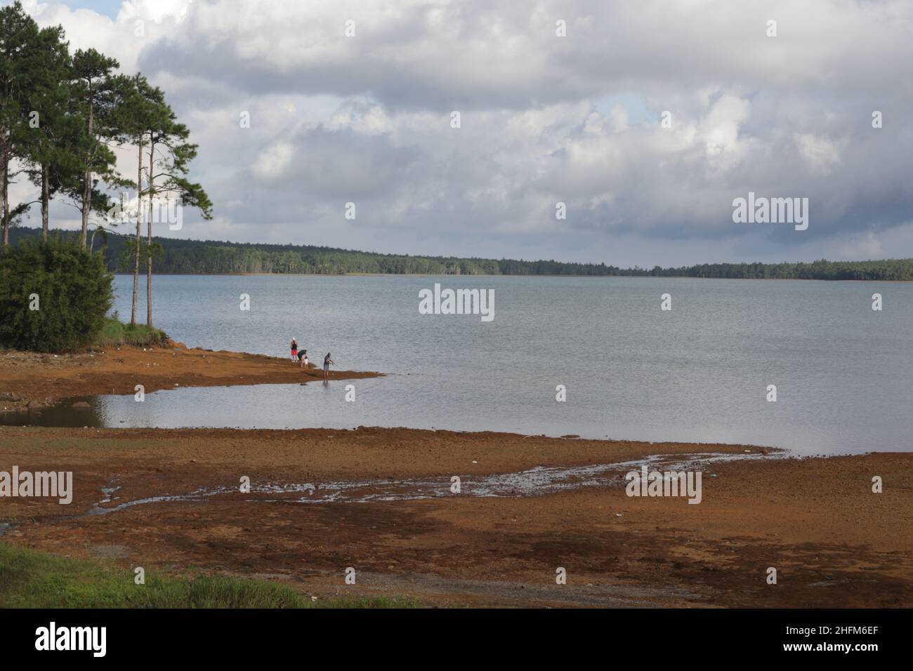 Mare aux Vacoas is the largest reservoir in Mauritius. It is located in ...