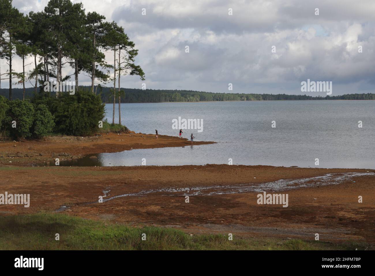 Mare aux Vacoas is the largest reservoir in Mauritius. It is located in ...