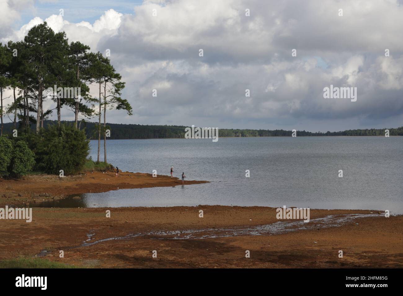 Mare aux Vacoas is the largest reservoir in Mauritius. It is located in ...