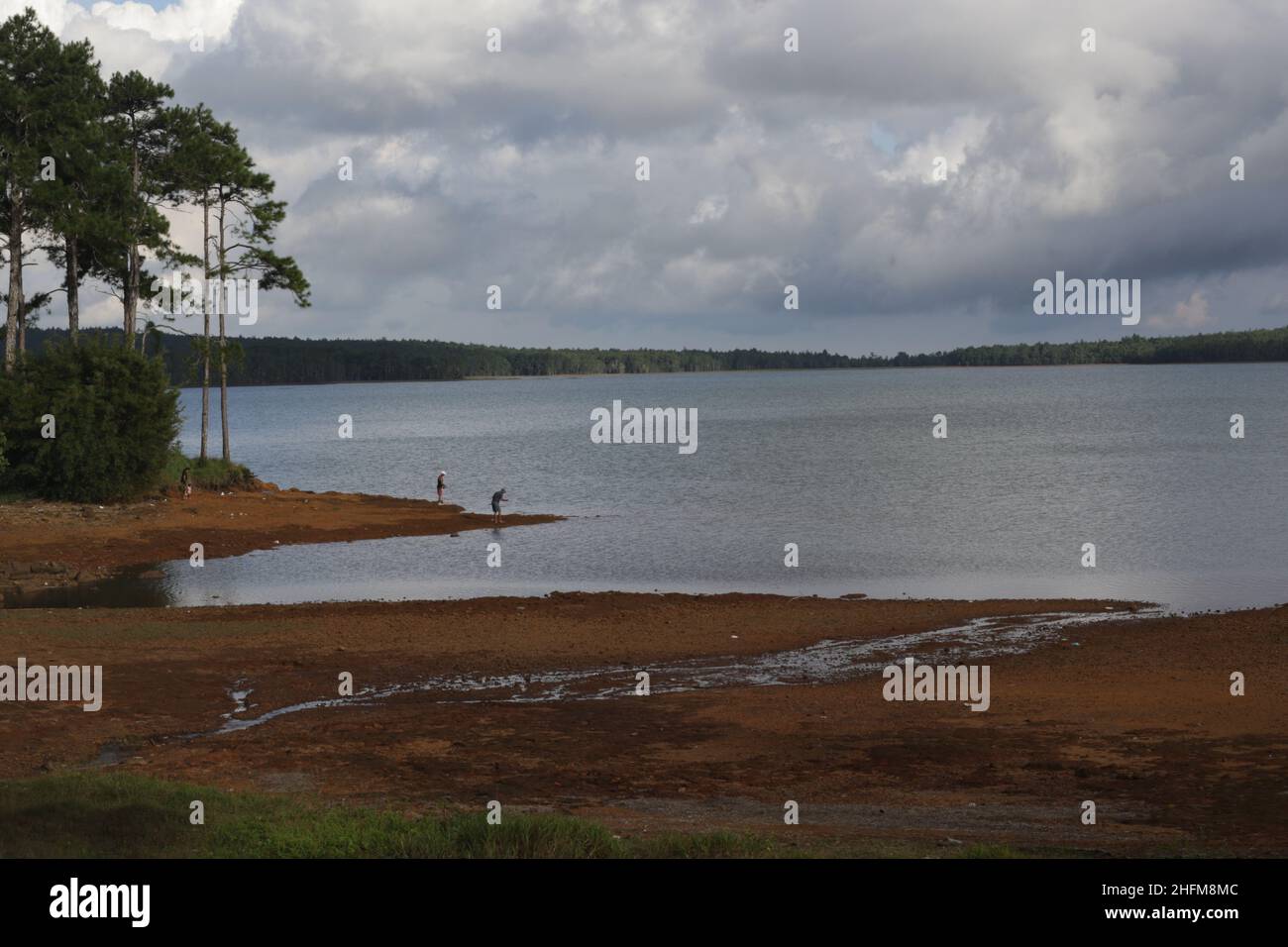 Mare aux Vacoas is the largest reservoir in Mauritius. It is located in ...