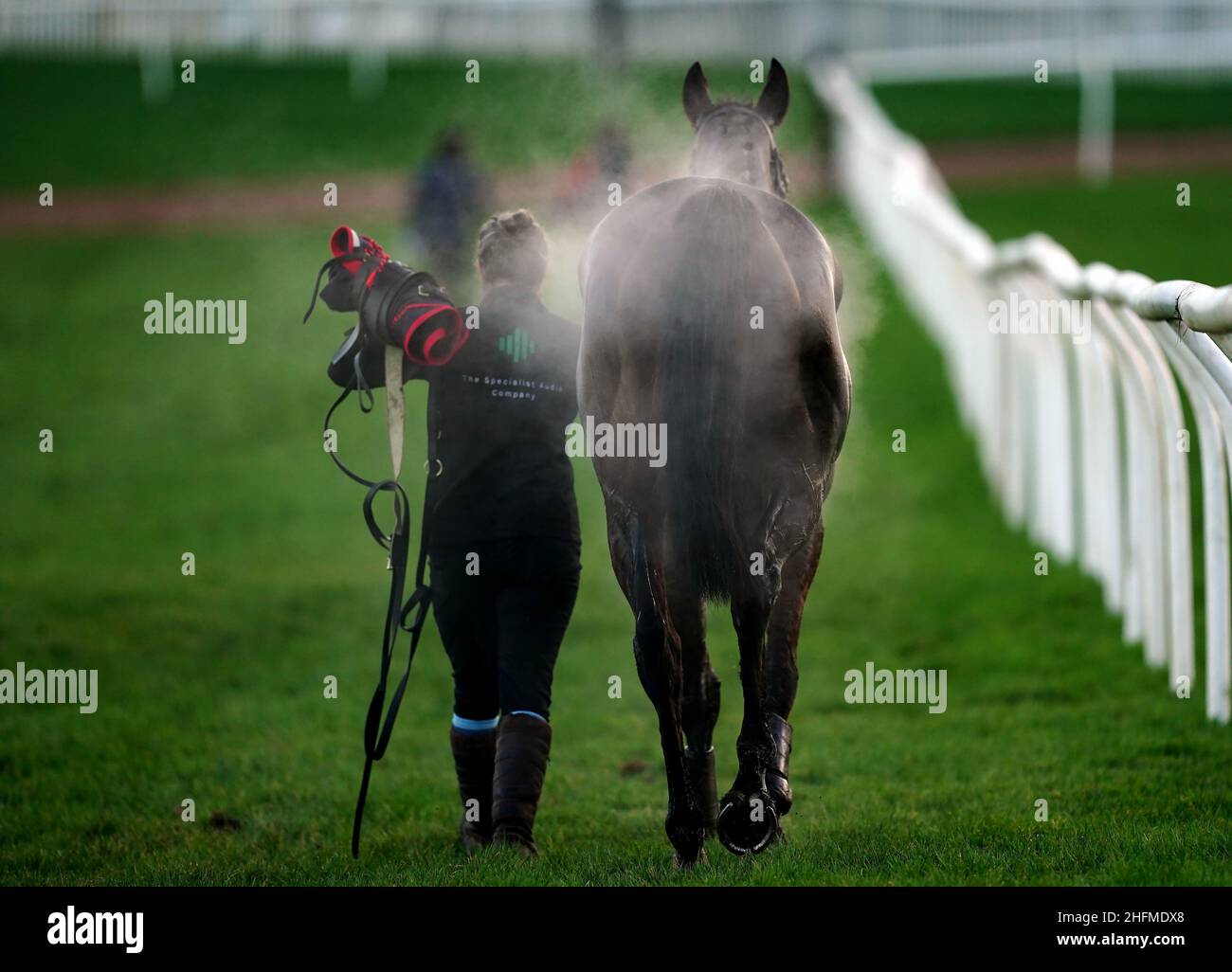 Steaming horse hi-res stock photography and images - Alamy