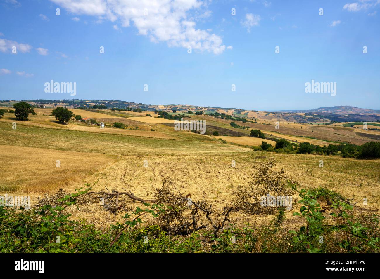 Limosano hi-res stock photography and images - Alamy