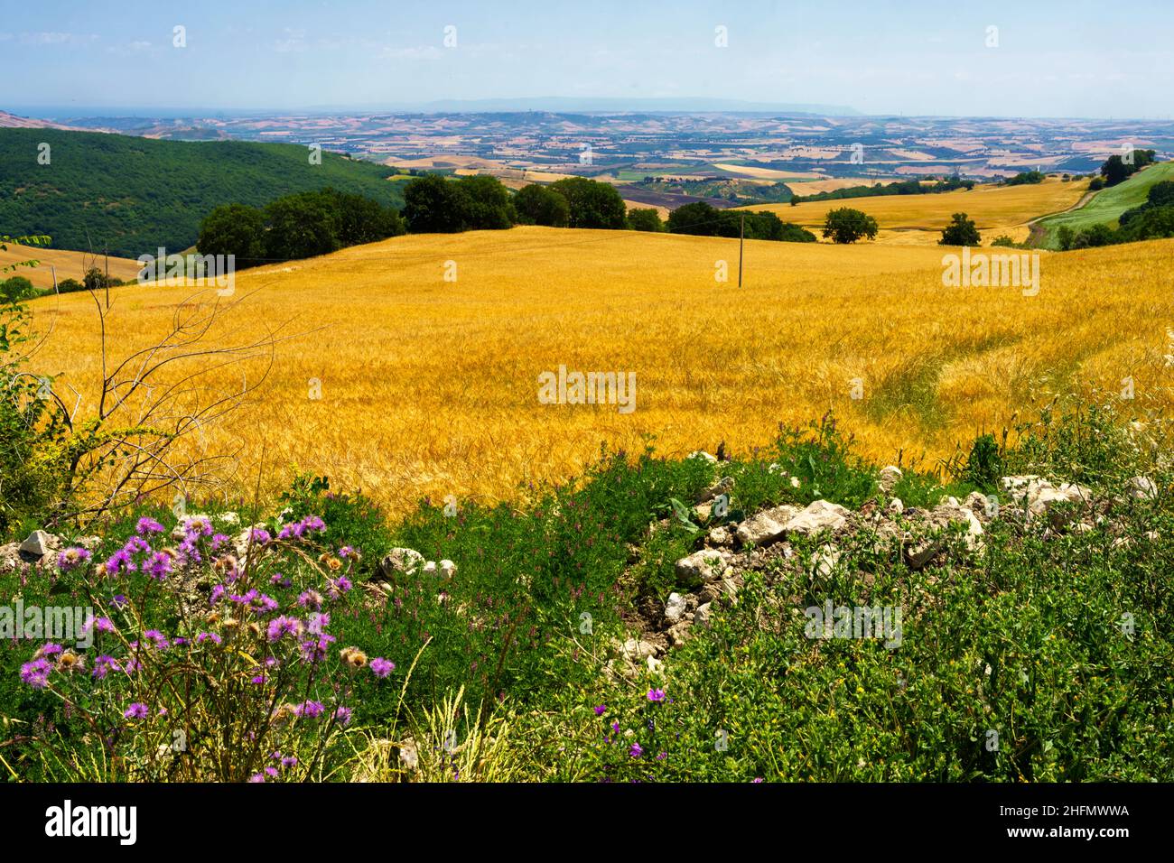 Landscape in Campobasso province, Molise, Italy, along the road to ...
