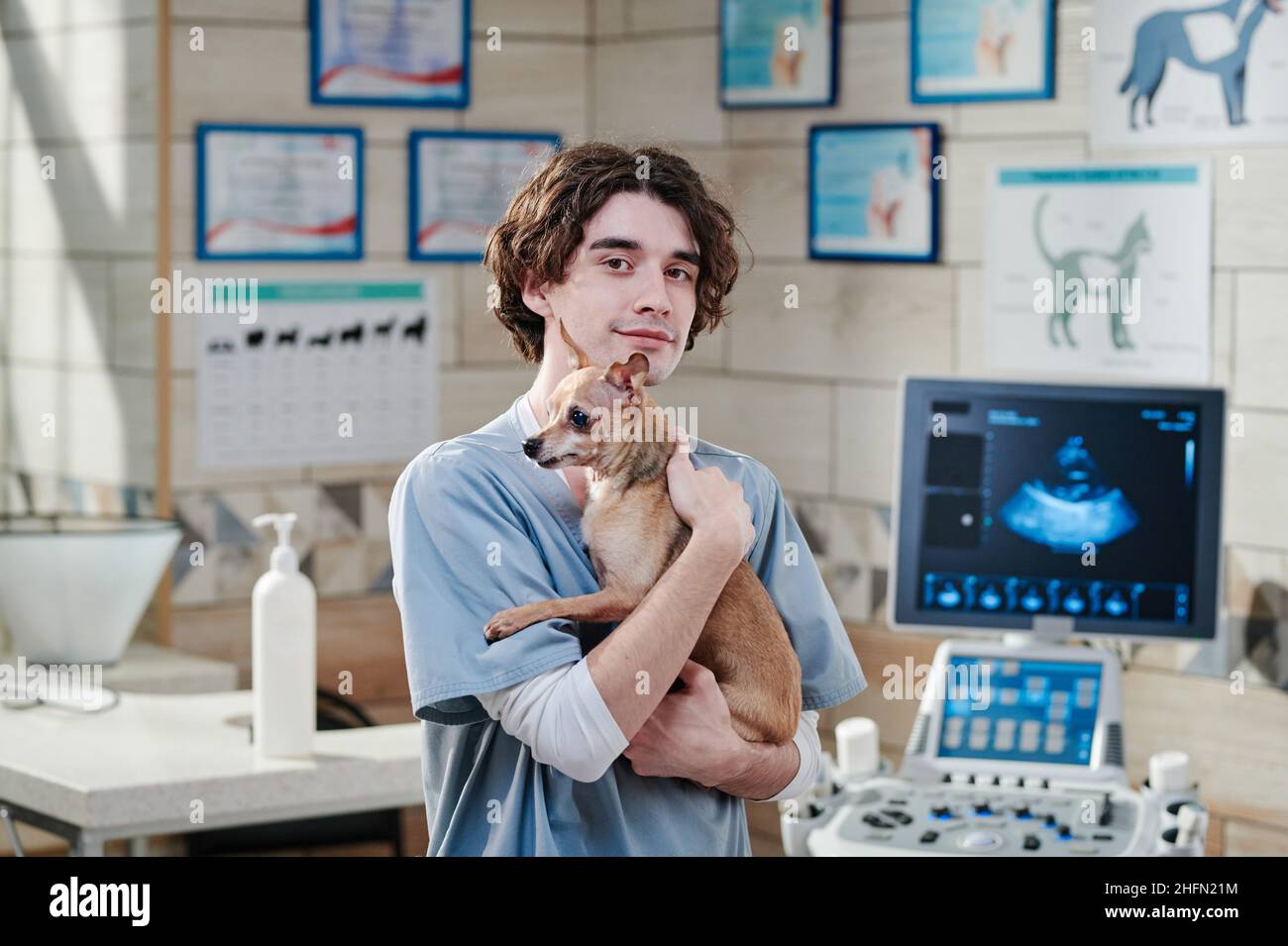 Veterinary nurse examining little dog hi-res stock photography and ...