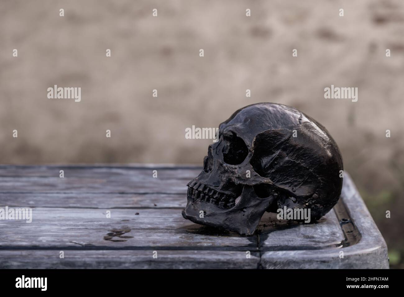 Black skull lying on a wooden bench outdoors Stock Photo - Alamy