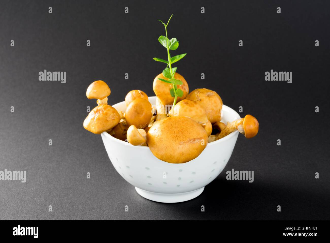 Delicious Gold cap mushrooms with pea tendril, in a white bowl on black ...