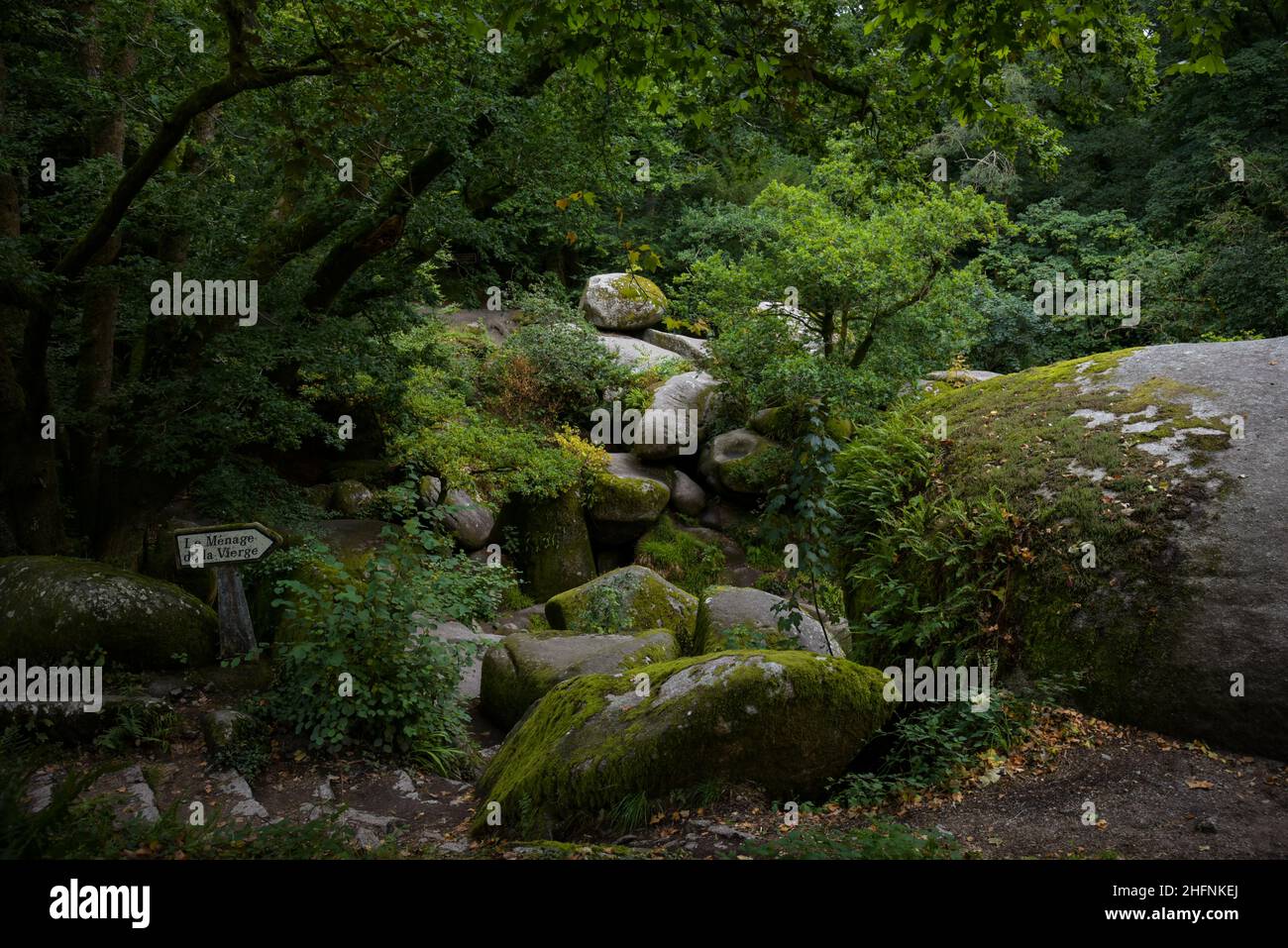 view on the forest of huelgoat in finistere in Brittany Stock Photo - Alamy