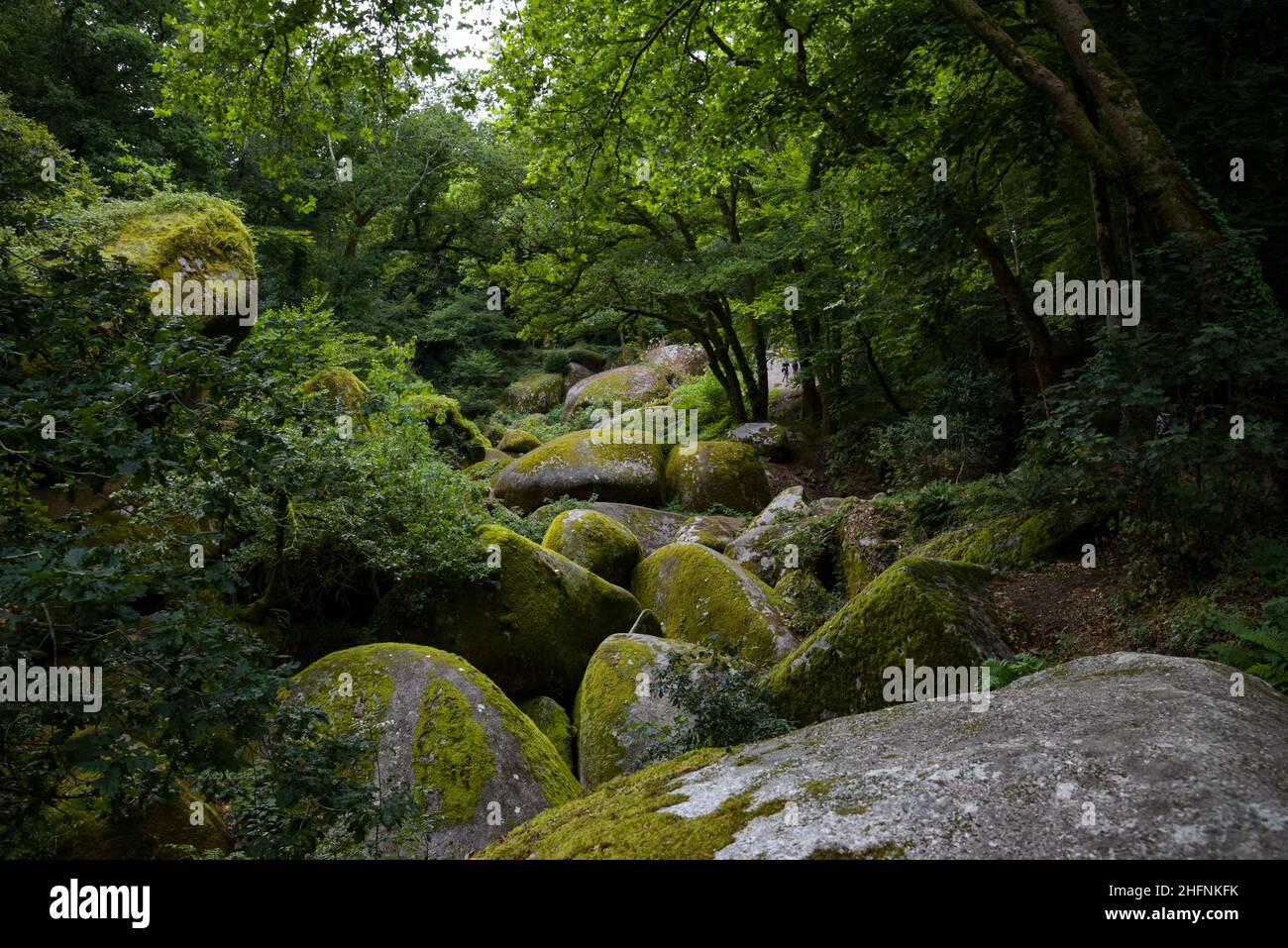 view on the forest of huelgoat in finistere in Brittany Stock Photo - Alamy