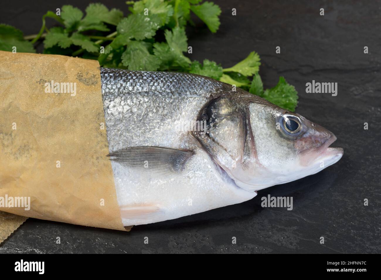 Black sea bass hi-res stock photography and images - Alamy