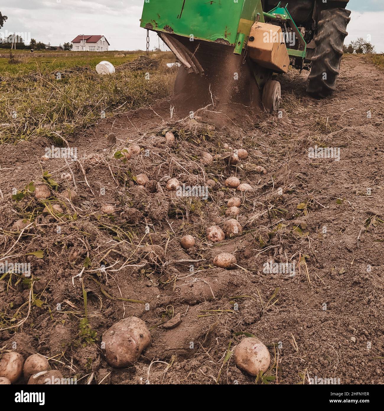 Potato Farming Equipment Tractor Suspended Equipment Potato Harvesting