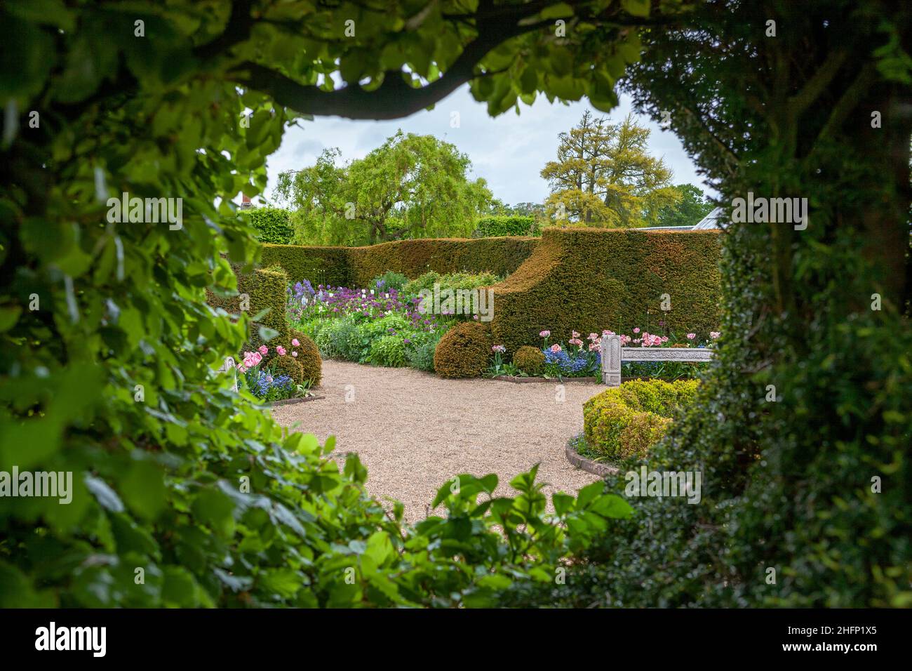 Formal gardens glimpsed through a hedge: Collector Earl's Garden ...