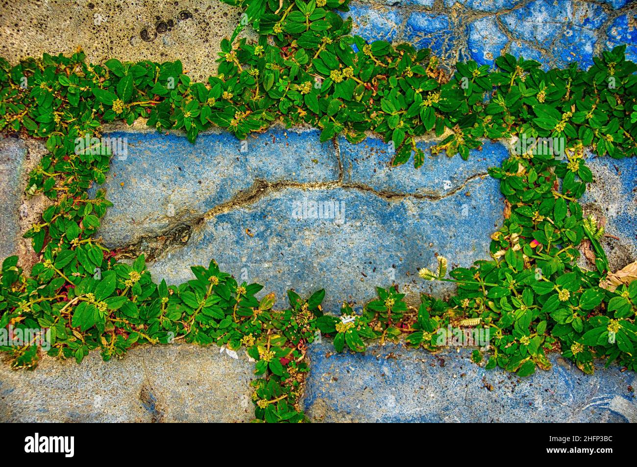 Blue Cobblestones On the Streets of Old San Juan Puerto Rico Stock ...
