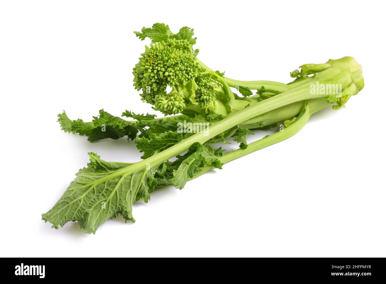 Broccoli rabe isolated hi-res stock photography and images - Alamy