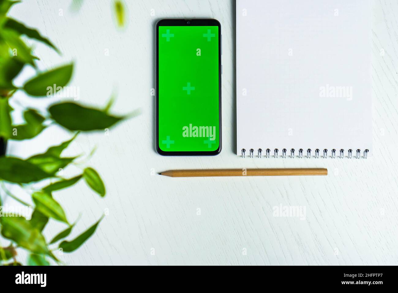 Green leave with blank notepad smartphone green screen mockup and ...