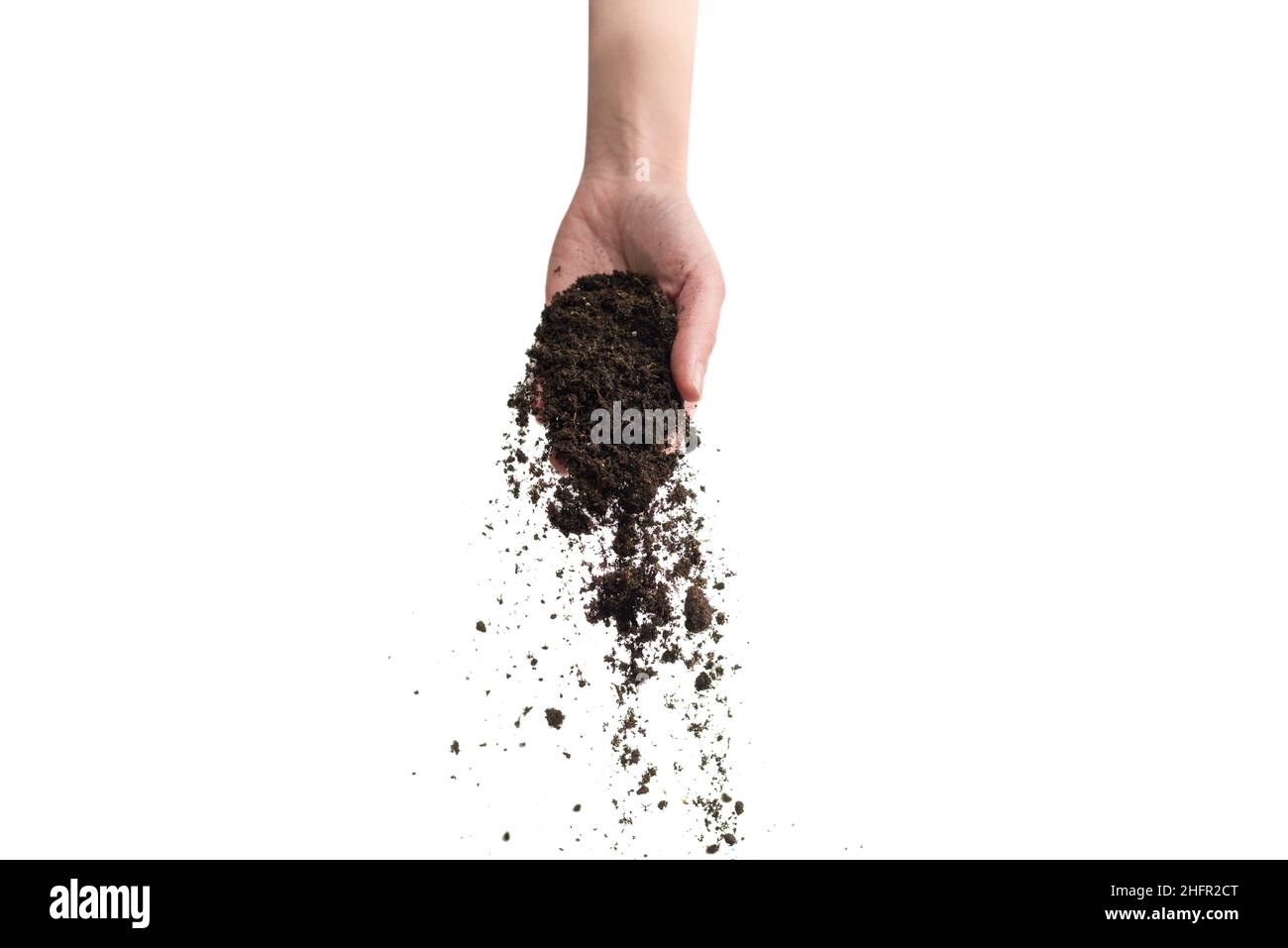 Brown soil in woman hands isolated on white background. The soil falls ...