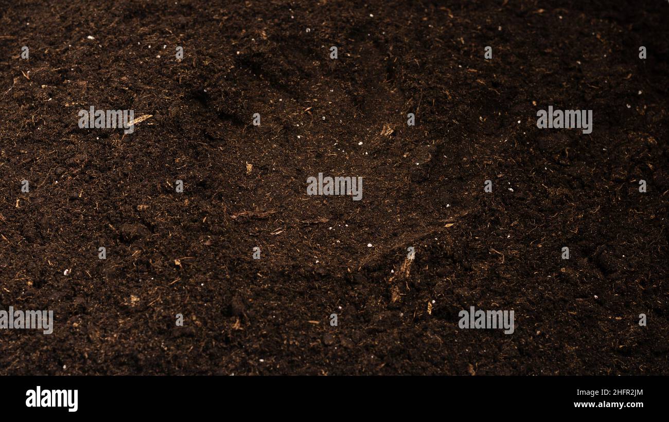 Hand trace hi-res stock photography and images - Alamy