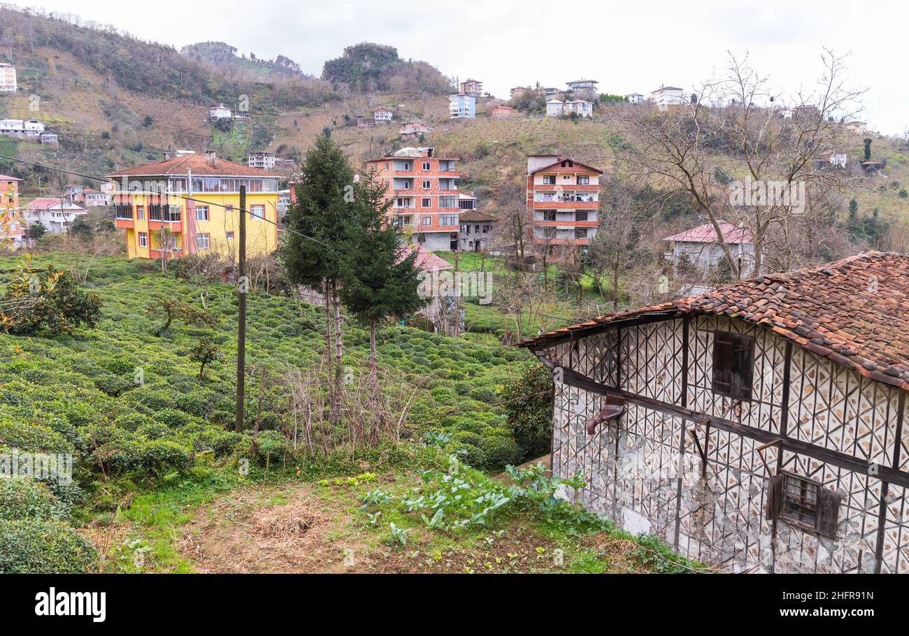 Rural landscape of Surmene town, Trabzon, Turkey. Old living houses and ...