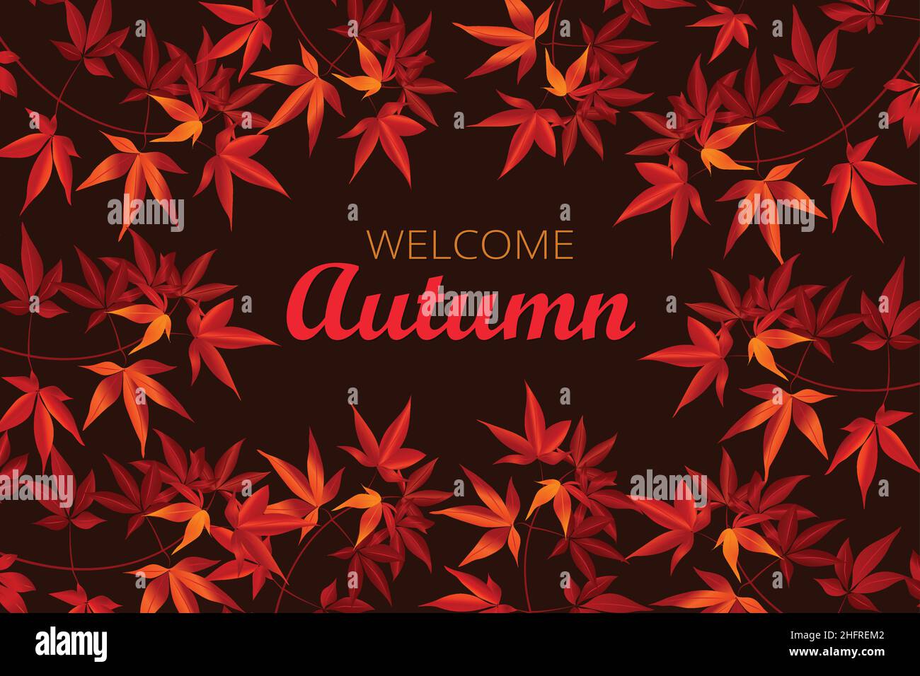 Welcome Autumn Background vector illustration with Maple leaves Stock ...