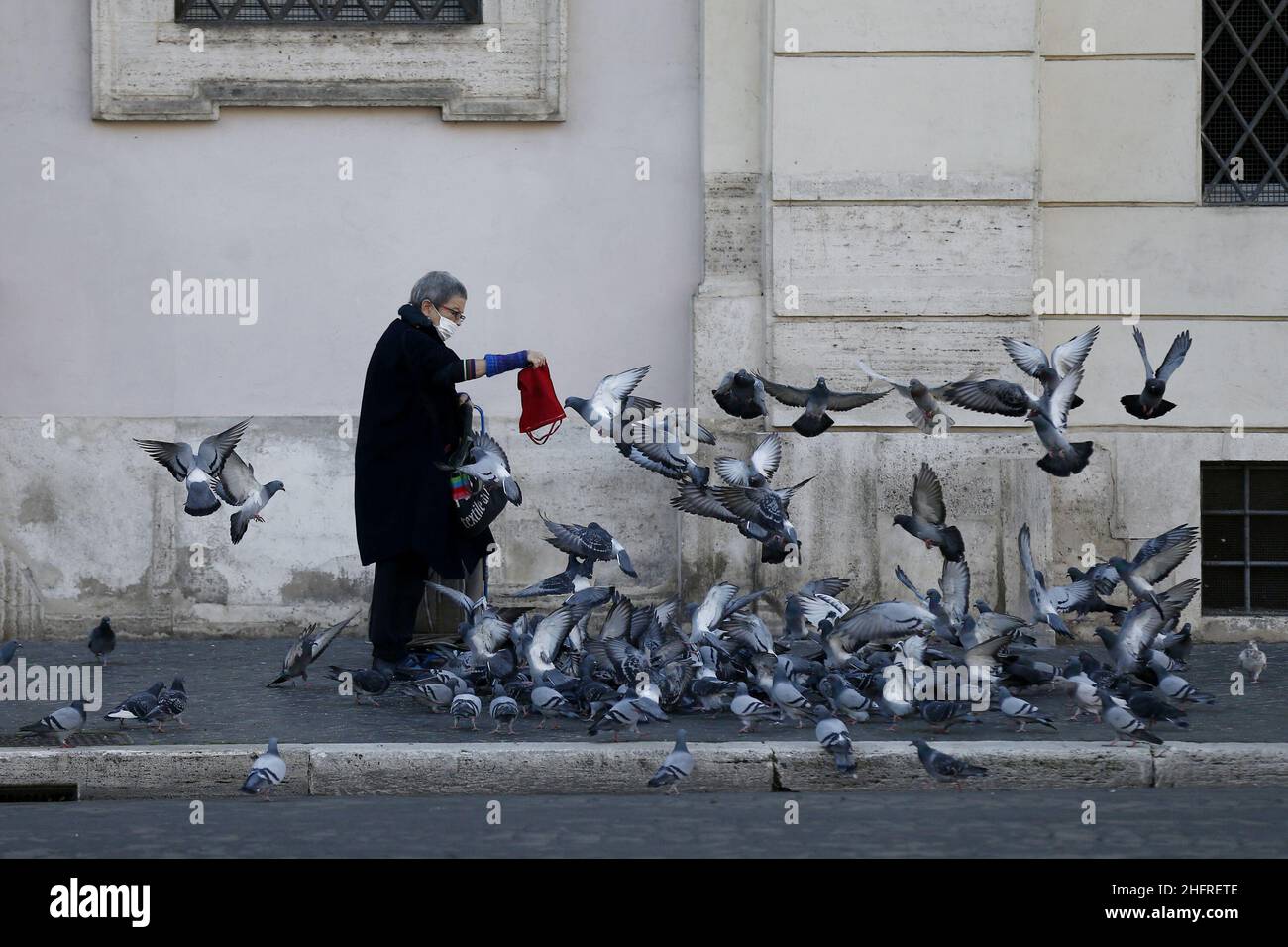 Pigeons pic hi-res stock photography and images - Alamy