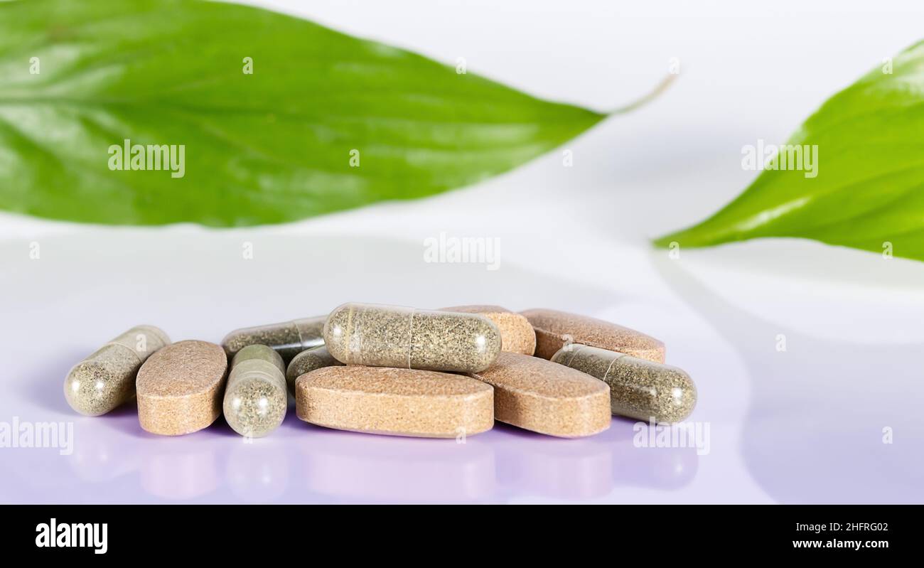 herbal tablets and capsules and green leafs on light blue background ...