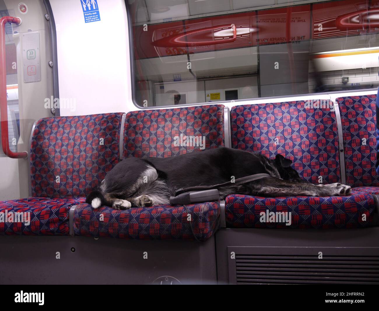 Lying underground hi-res stock photography and images - Alamy